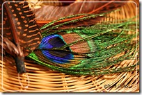 Totally Tots: Now I Know My ABCs ~ Ff is for Feathers